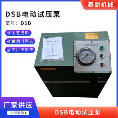 DSB电动试压泵 DSB-10 电动试压泵 手动试压泵 双缸试压泵