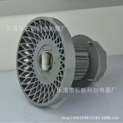 DGS120/爆127L(A)G8097 一矿用隔爆型巷S道灯LED峒室灯LED防灯DG1