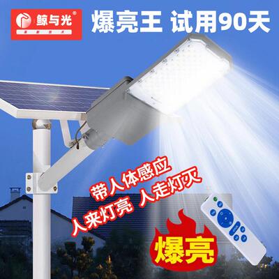 新农村太阳能路灯分体户外防水LED感应SolarLight光控太阳能板