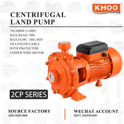 外贸2CP双叶轮离心泵家用增压泵1寸2寸清水泵waterpump中东爆款