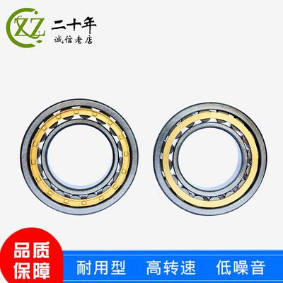 天马轴承短圆柱滚子轴承RN306M RN307M RN308M RN309M RN312M