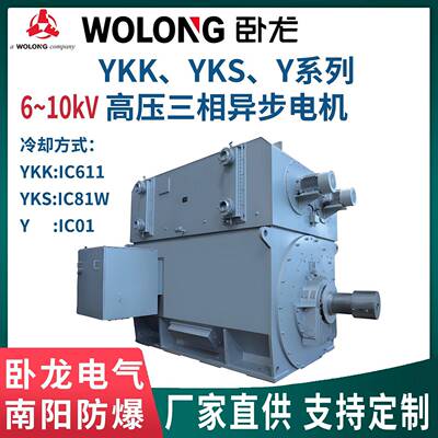 卧龙CNE南阳防爆Y/YS高压三相异步电机6/10VIC01/IC611/IC81W