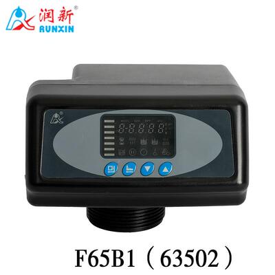 反渗透水处理设备 润新阀▪全自动软化阀63502(F65B1)时间型/顺流