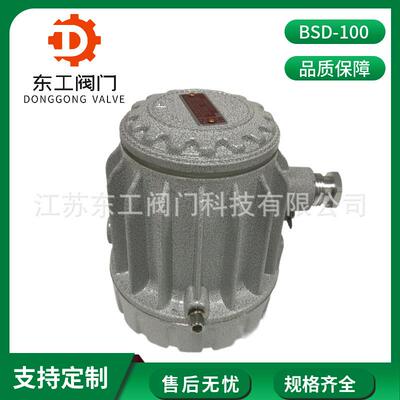 BSD-100防爆视镜灯 防爆照明内视灯 不锈钢防爆视镜 防爆带灯视镜