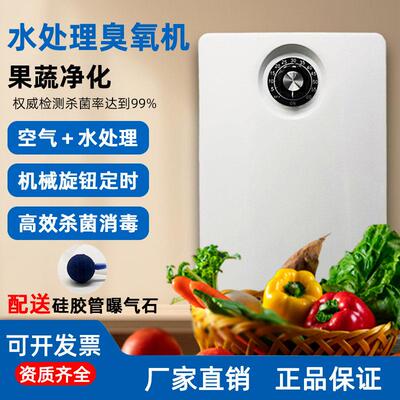 2000mg臭氧产生器家用洗菜消毒机果蔬肉类降解农残鱼缸水池消毒器