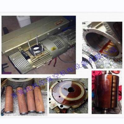 维修普旭真空泵R5 RA0165D 进口真空泵维修保养