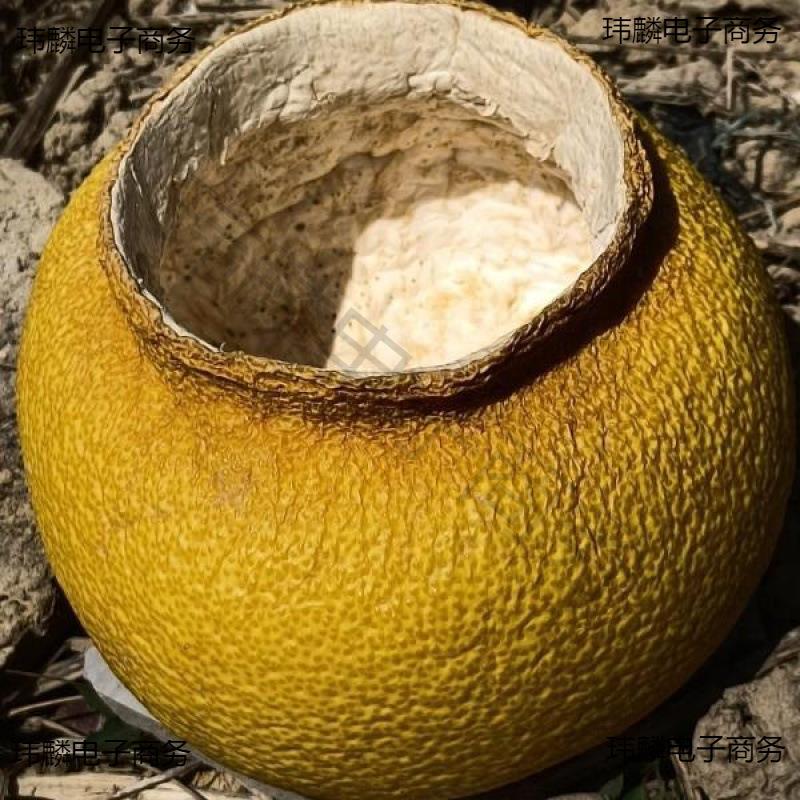 杂物茶装西双版纳柚子皮储物罐子装手工制作其他中国大陆韩式无