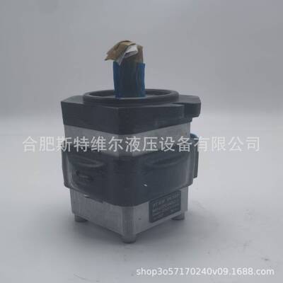 ECKERLE艾乐勒EIPC系列高压齿轮泵，艾可勒高压齿轮泵