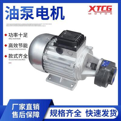 齿轮油泵电机组370/550W配CBB2.5/4/6/10油泵组配齿轮油泵