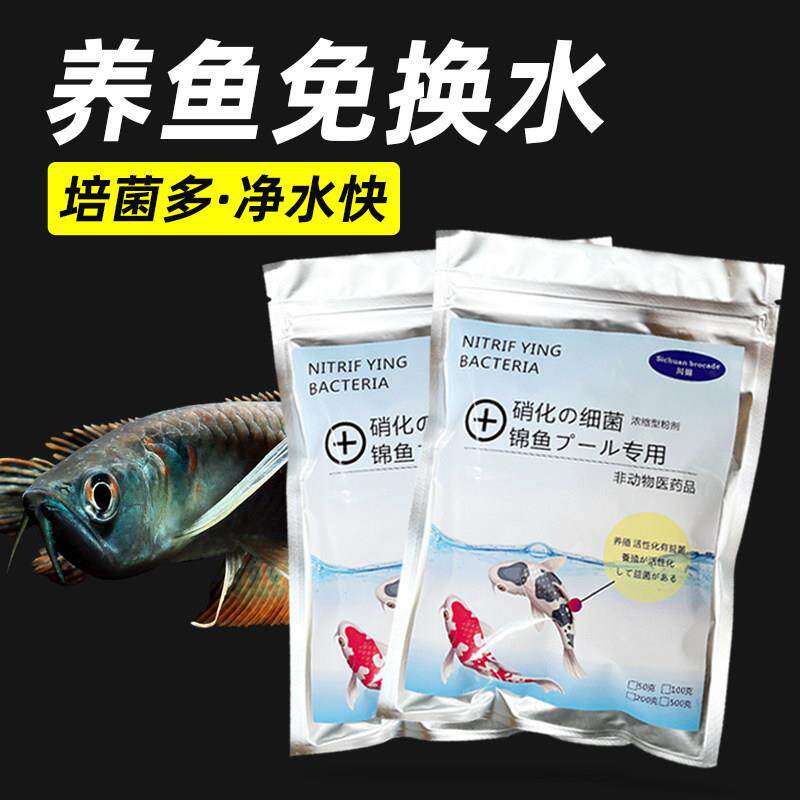 硝化细菌鱼缸净水剂用鱼池消化细菌养鱼用品水质稳定剂除绿藻青苔