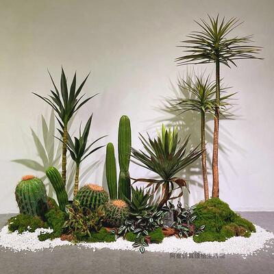 绿植造景龙血树室内大型落地假植物楼梯下拐角景观装饰品楼梯转角