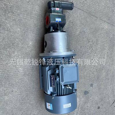 齿轮油泵-KF20RF2-D15-配电机W20-90L-4-B5-80V含税