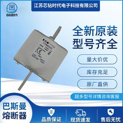 170M6202 170M6203 170M6204 BUSSMANN巴斯曼快速熔断器保险丝