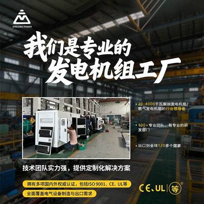 1兆瓦康明斯Cummins天然气发电机组柴油发电机可并机并网数据中心