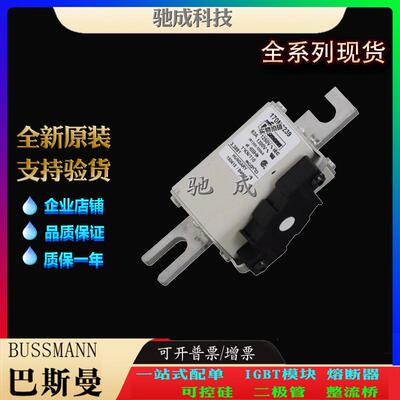巴斯曼170M3238 170M3239 170M3240 原装进口零售 紧凑熔断器