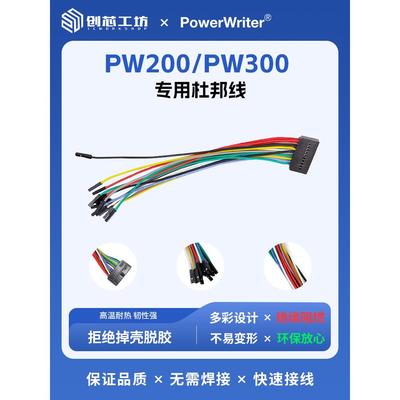 PowerWriter PW200/PW300专用20PIN杜邦线