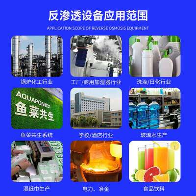设2000升纯水设备ro反渗备设鱼菜共生水培处理系563统去透离子水