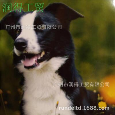 VC透明水透光保护膜63.5cmx亮楼膜一写卷起批卷筒影广告真防P水防