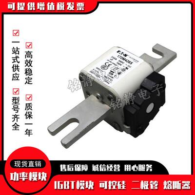 170M4926 170M4927 170M4928 170M4929巴斯曼熔断器现货170M4930