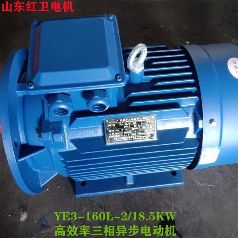山东厂家直供YE3-160L-2/18.5W低噪音三相异步电动机质量保障