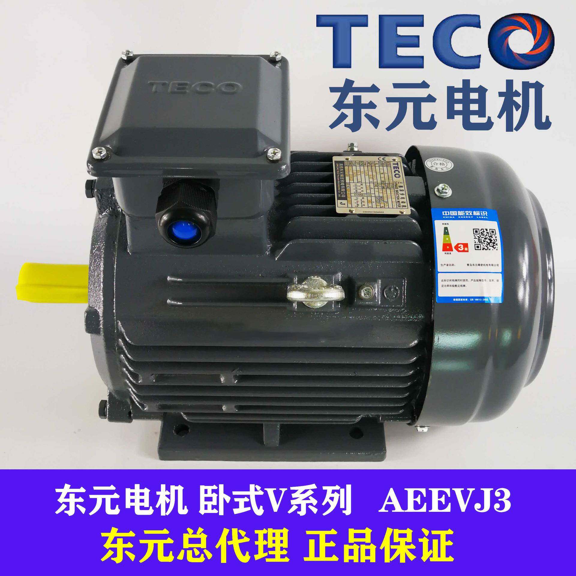 TECO东元电机AEEV 0.55KW 1.1 2.2KW 3KW 4KW 5.5KW 7.5KW 18.5KW
