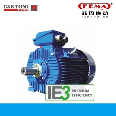 波兰CANTONI3SIE系列|