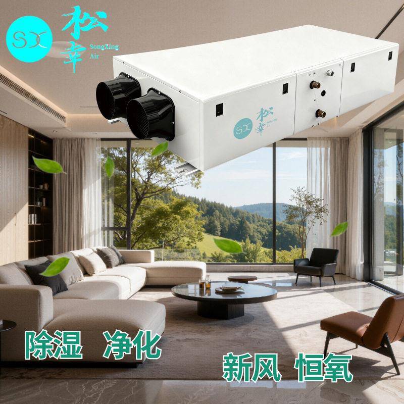 双冷源变频新风除湿机全屋通风换气地下室别墅家用抽湿器静音空调