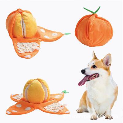 Nocciola 5in1 Orange Dog Enrichment Toys 4 Orange Slices