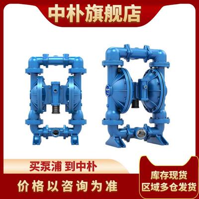斯凯力气动隔膜泵LS50 AA-AA-SP-SP-SP-00压滤机压泥专用污水泵