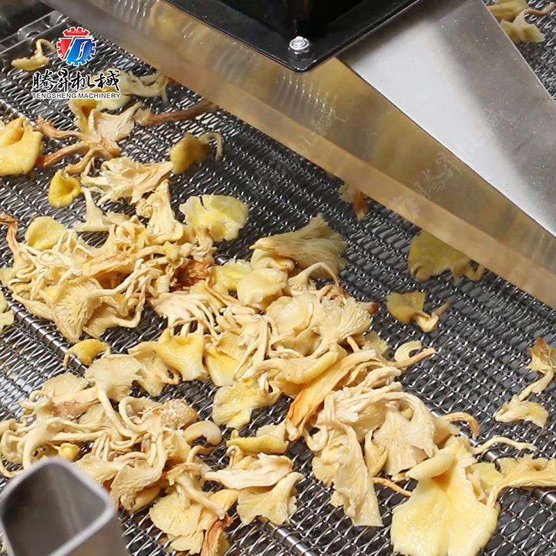 全自动多功能洗菜机洗果机气泡式水果清洗机果蔬清洗风干生产线