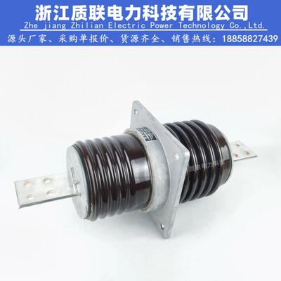 CWB-10/1250A穿墙套管CWC-10/1000a户外高压陶瓷套管CWW-10/1600A