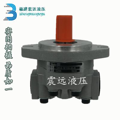 齿轮油泵G5-6-1E13S-20R G5-8-1E13S-20R G5-5-1E13F-20L