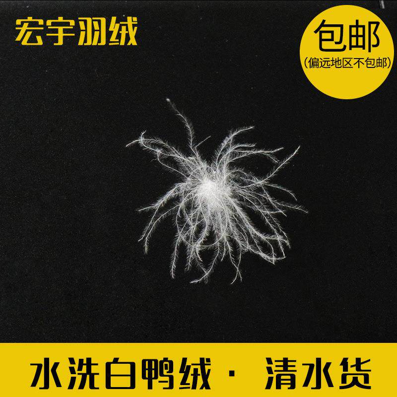 厂家直销羽绒水洗纯白鸭绒清水货高蓬松大朵羽绒被填充物散装羽绒