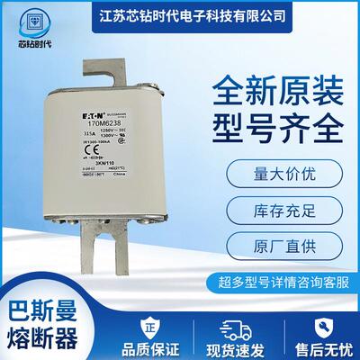 170M6244 170M6245 170M6246 巴斯曼BUSSMANN熔断器保险丝