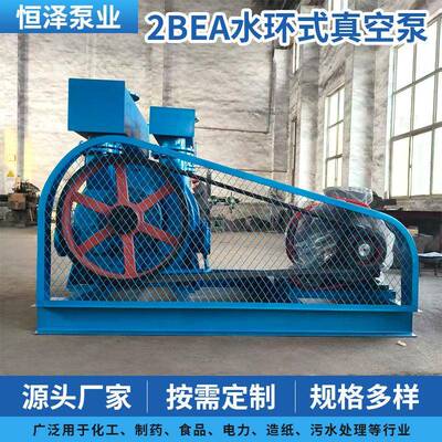 2BE系列2BEA-303水环式真空泵大型真空泵工业用多种型号多种功率