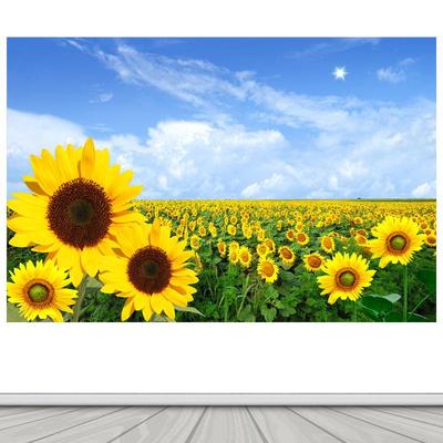 太阳花花海向日葵蓝天白云自然风景画客厅办公室背景墙海报自粘画