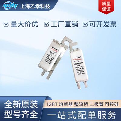 巴斯曼熔断器 170M1562 170M1563 170M1564 170M1565 170M1566