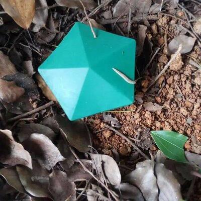 Garden Slug Trap Slug Control Trap Box Bee Traps Catcher