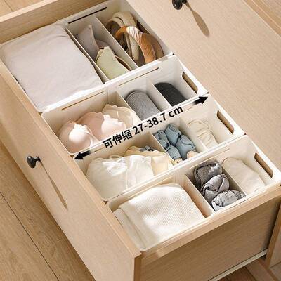 Expandable compartment storage box, large size with dividers