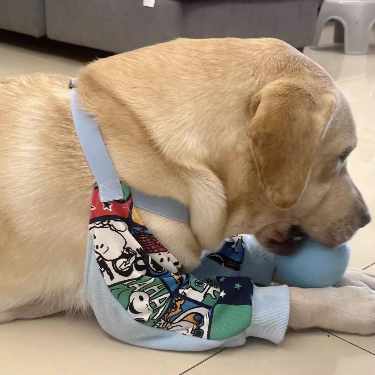 金毛拉布拉多犬两条腿肘部护垫前腿关节保护套大腿膝盖护垫宠物保