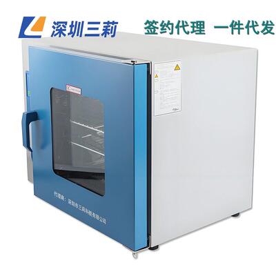 上海一恒鼓风干燥箱 300℃电热恒温温烘箱 DHG-9015A鼓风干燥箱
