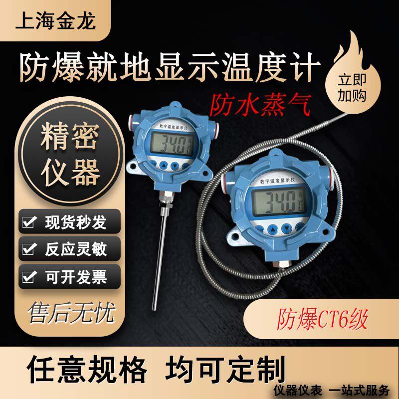 防爆就地显示测温仪带安装CT6级温度计高精度配套设备测蒸汽水温