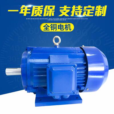 Y异E3-160M2-8 5.YE3-160MK5W 高效率三相步电动机 低速马达 卧式