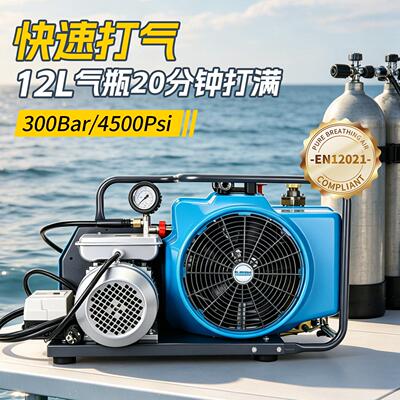 潜水压空压机100L呼吸气泵4500psi消防呼吸器泵220V