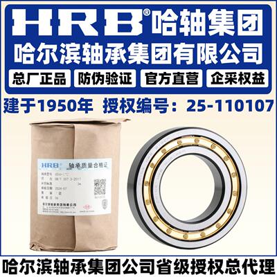 HRB 哈尔滨轴承 NJ NUP N NU 2244 2248 2252 E M EM 圆柱滚子