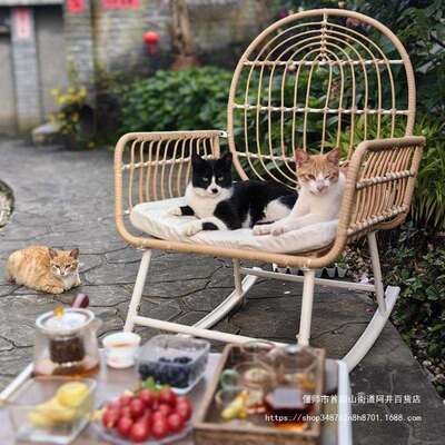 网红摇椅躺椅客厅阳台休闲椅懒人沙发户外庭院民宿编制藤椅