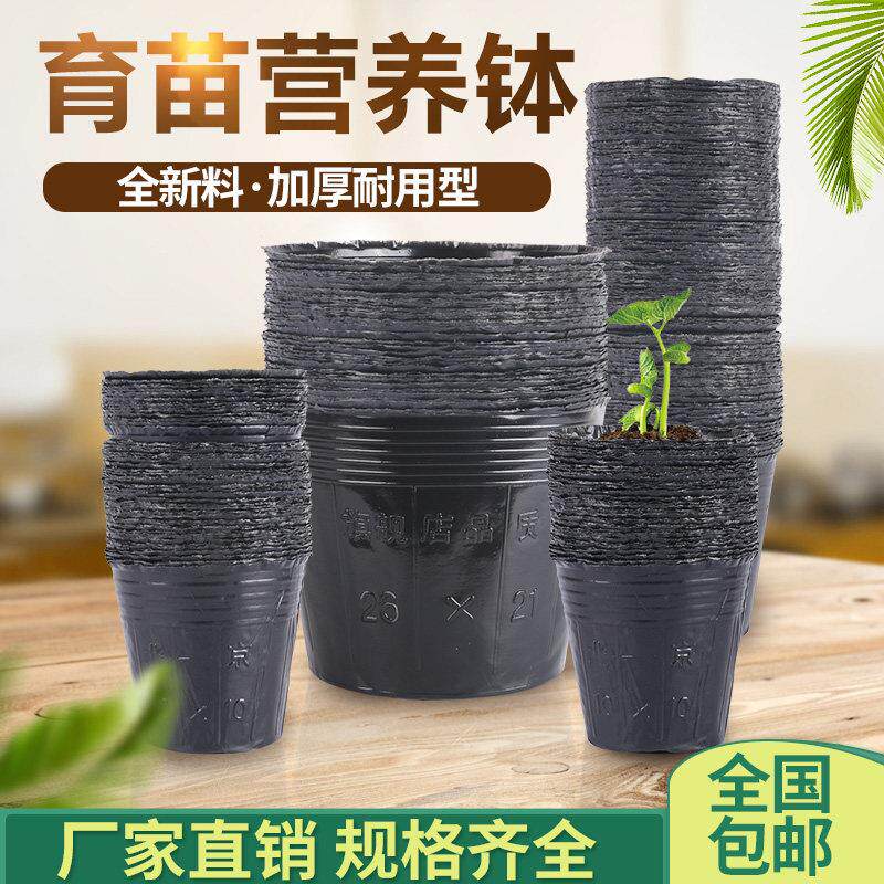 营养钵育苗盆营养杯育苗杯塑料育苗盘一次性加厚黑色营养袋育苗袋