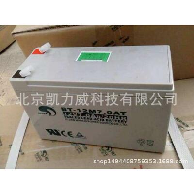 赛特BT-HSE-100-12 (12V100AH/10HR)免维护80AH90AH铅酸蓄电池