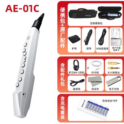 正品Rolan0d罗兰a电吹管 ae1 ae0琴1c e05 萨克斯提民族乐器 电子