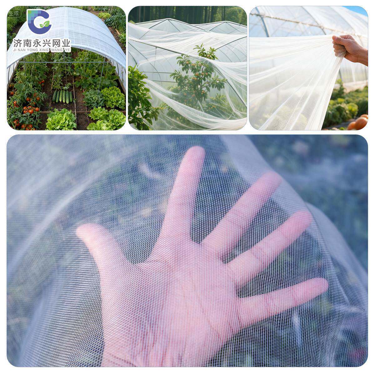 防虫网大棚专用加厚加密农用蔬菜果树园抗老化养殖围网防蚊苍蝇网